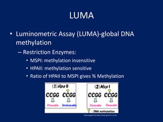 Epigenetic project5 | PPT
