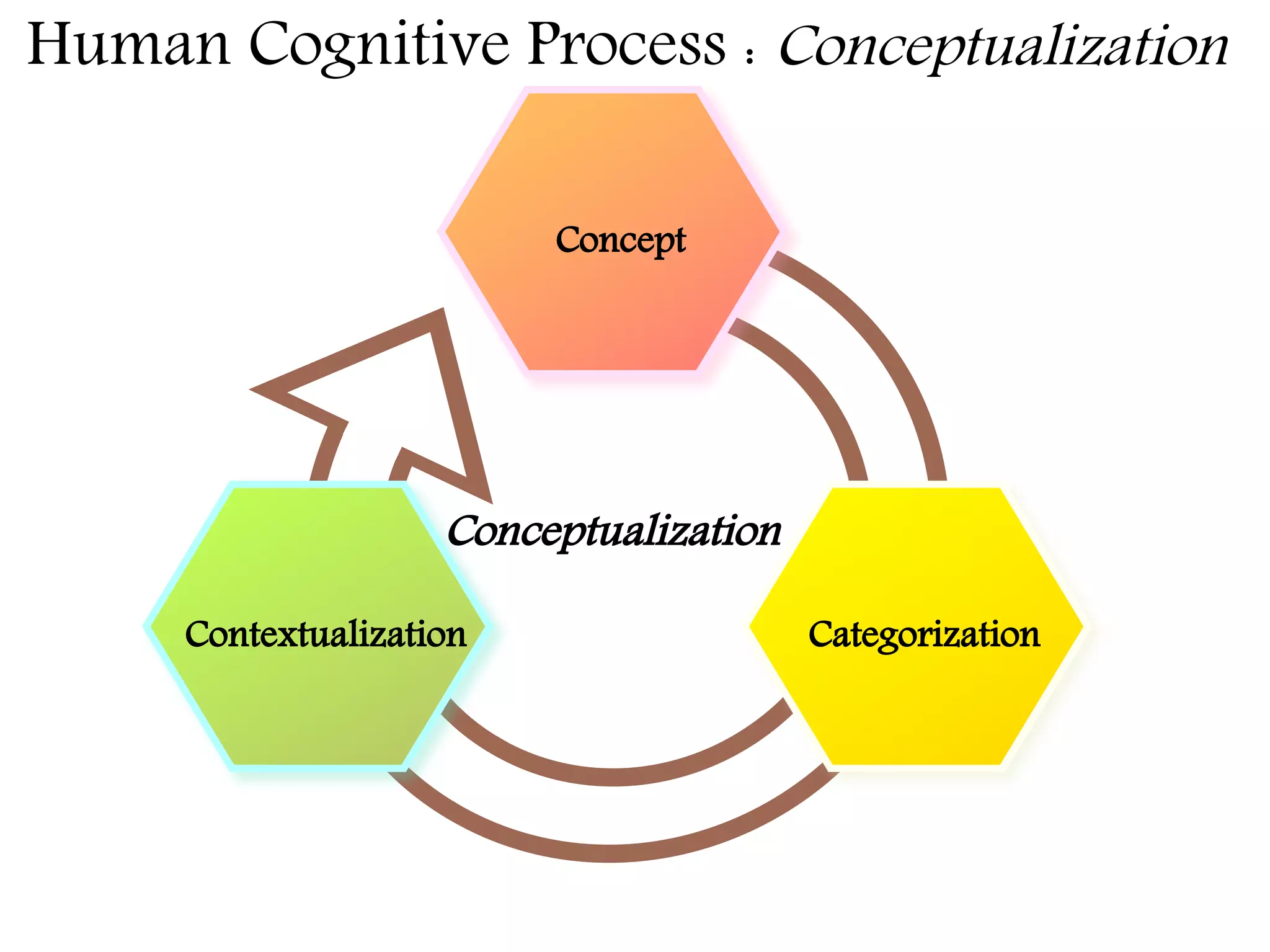 Fundamentals of Human Cognitive Process | PDF