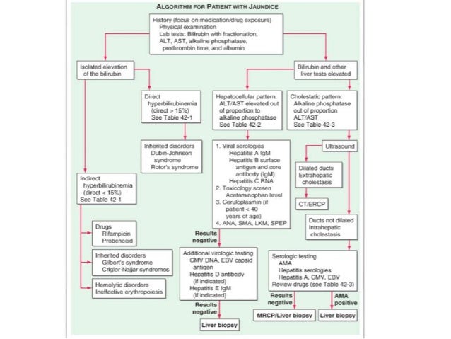 Clinical Case on Jaundice