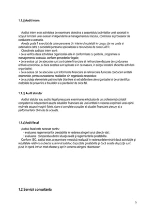 96943904 proiect-practica-audit-extern | DOC