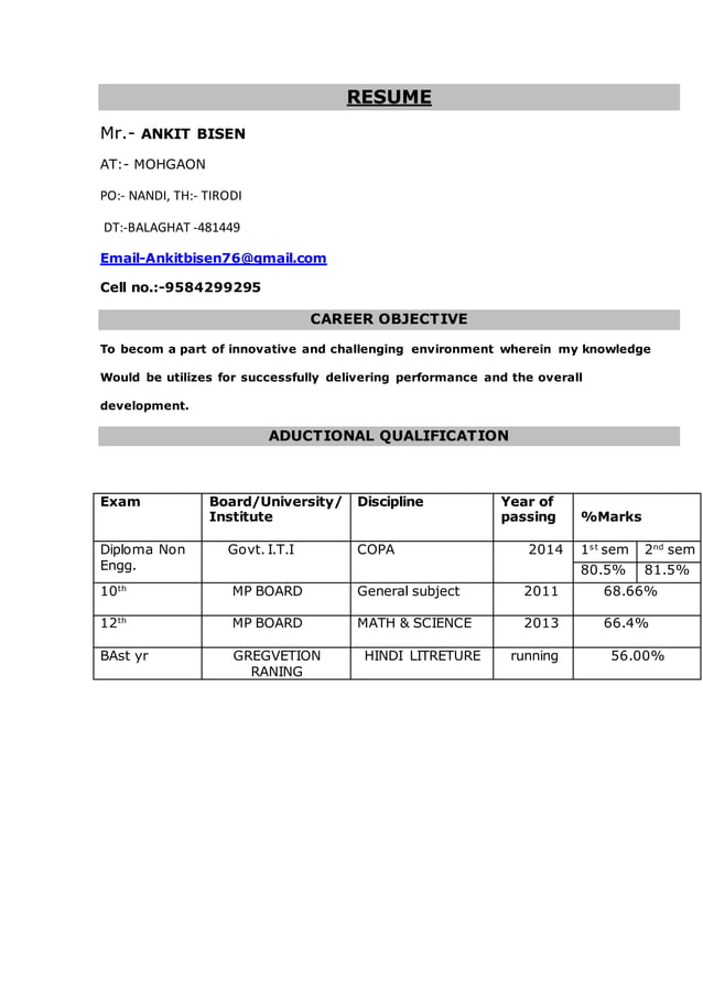 ANKIT BI. RESUME | PDF