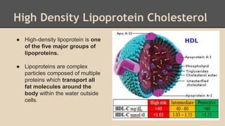 Long-term Effects of Exercise on High-density Lipoprotein Cholesterol ...