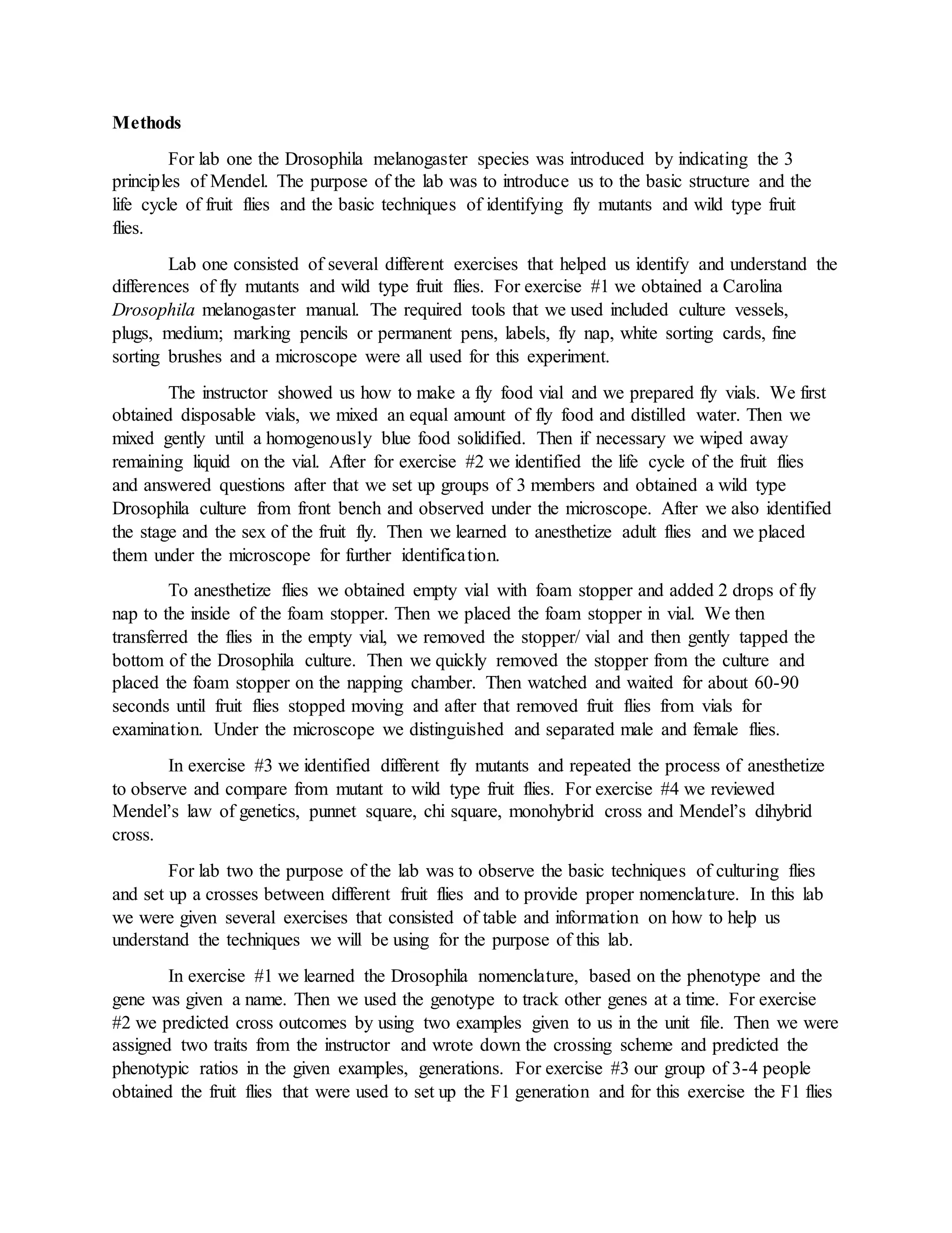 Fruit Fly Genetics lab report | DOCX