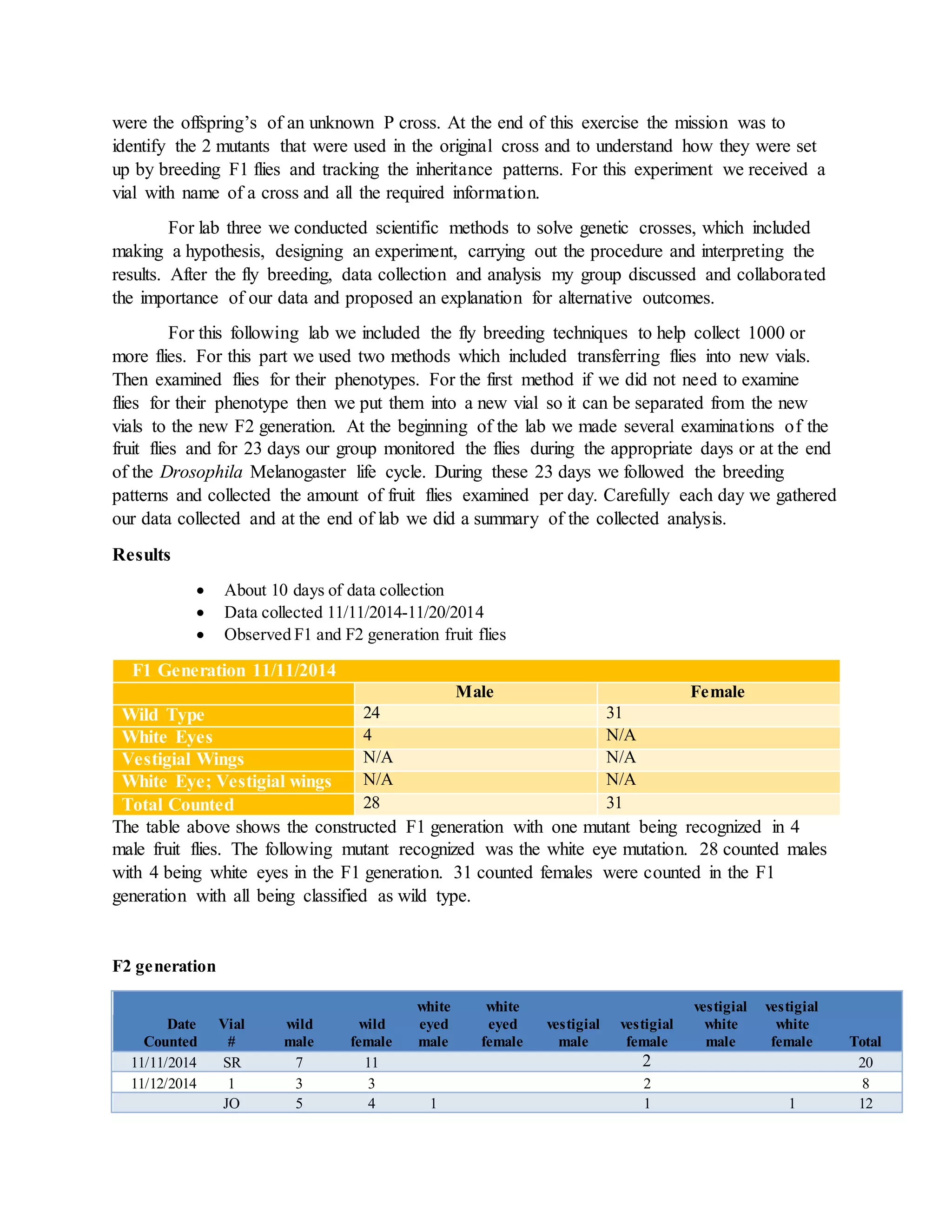 Fruit Fly Genetics lab report | DOCX