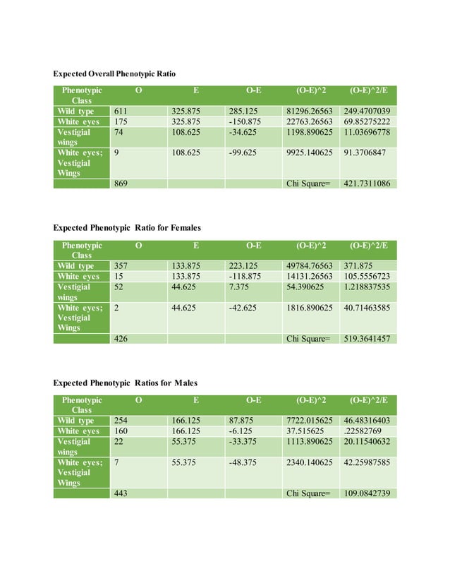 Fruit Fly Genetics lab report | DOCX | Genetics | Science
