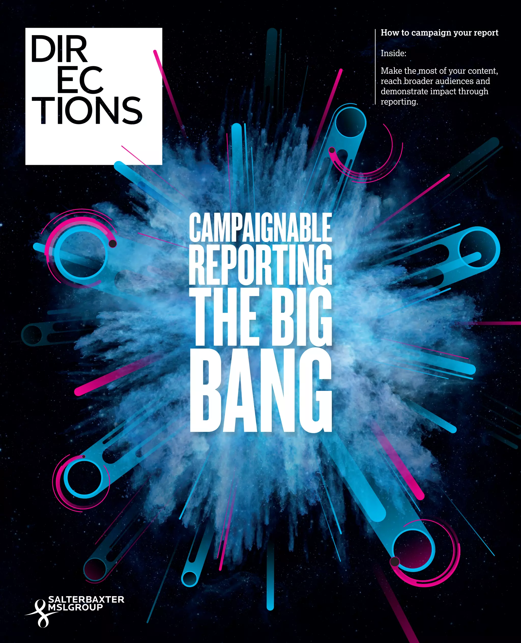 Salterbaxter Campaignable Reporting 2017 | PDF