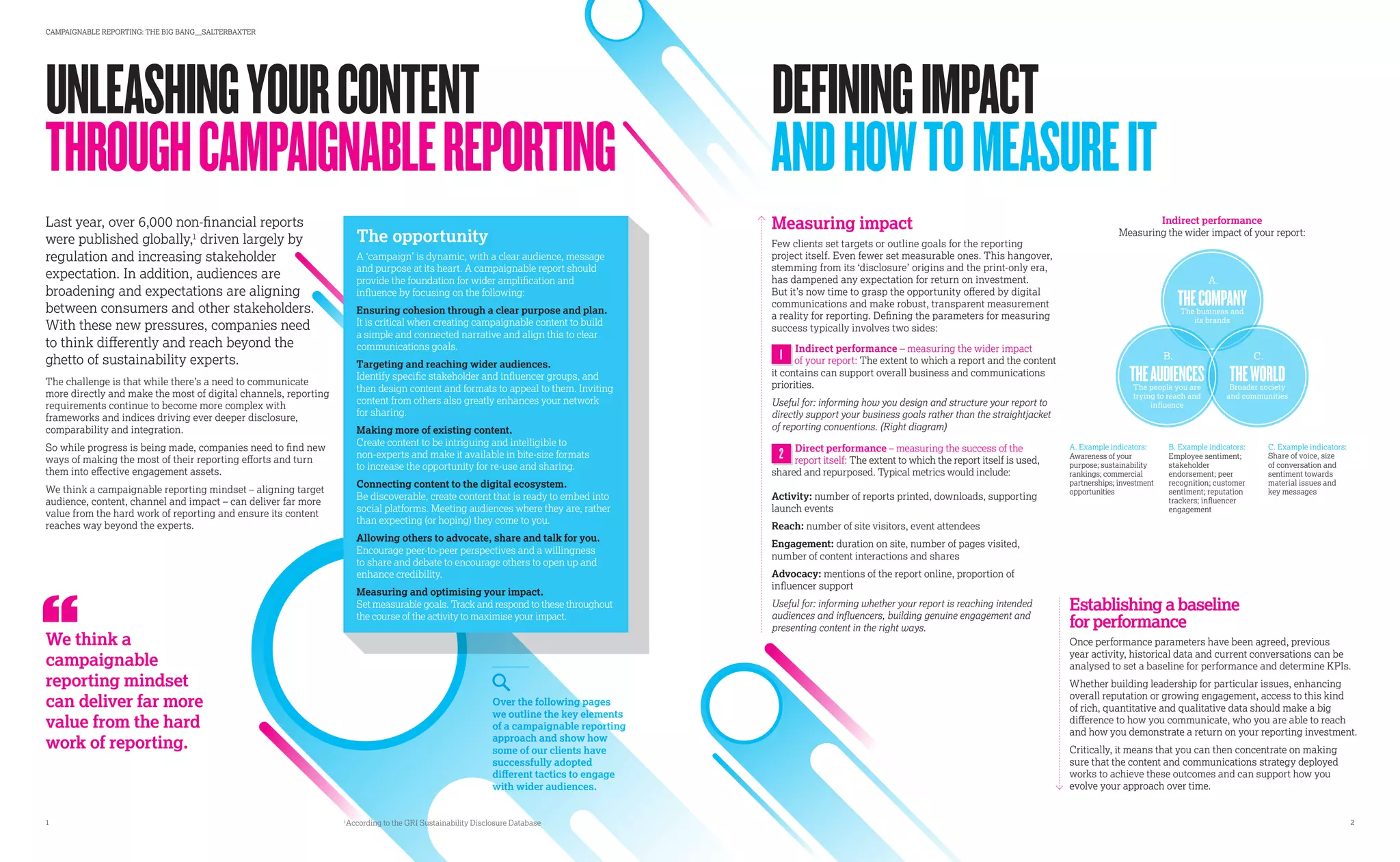 Salterbaxter Campaignable Reporting 2017 | PDF