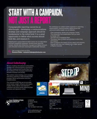 Salterbaxter Campaignable Reporting 2017 | PDF | Social Networking | Internet
