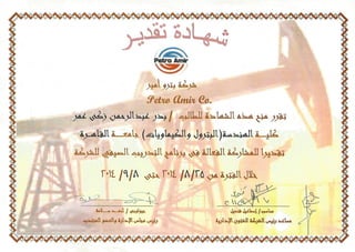 Petro Amir Training Certificate BadrAfandi | PDF