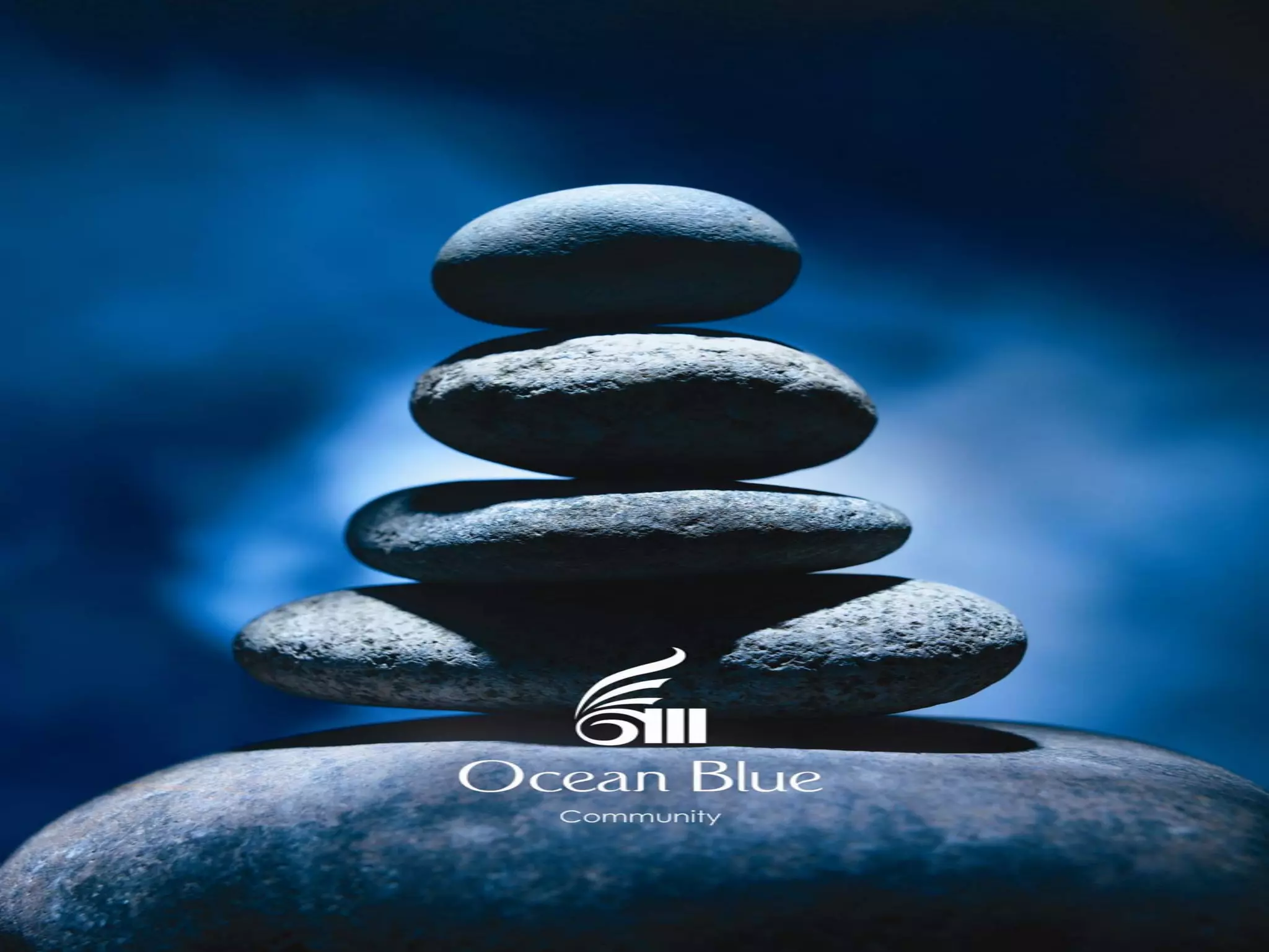 OB Company profile | PDF | Hotels and Motels | Travel Type