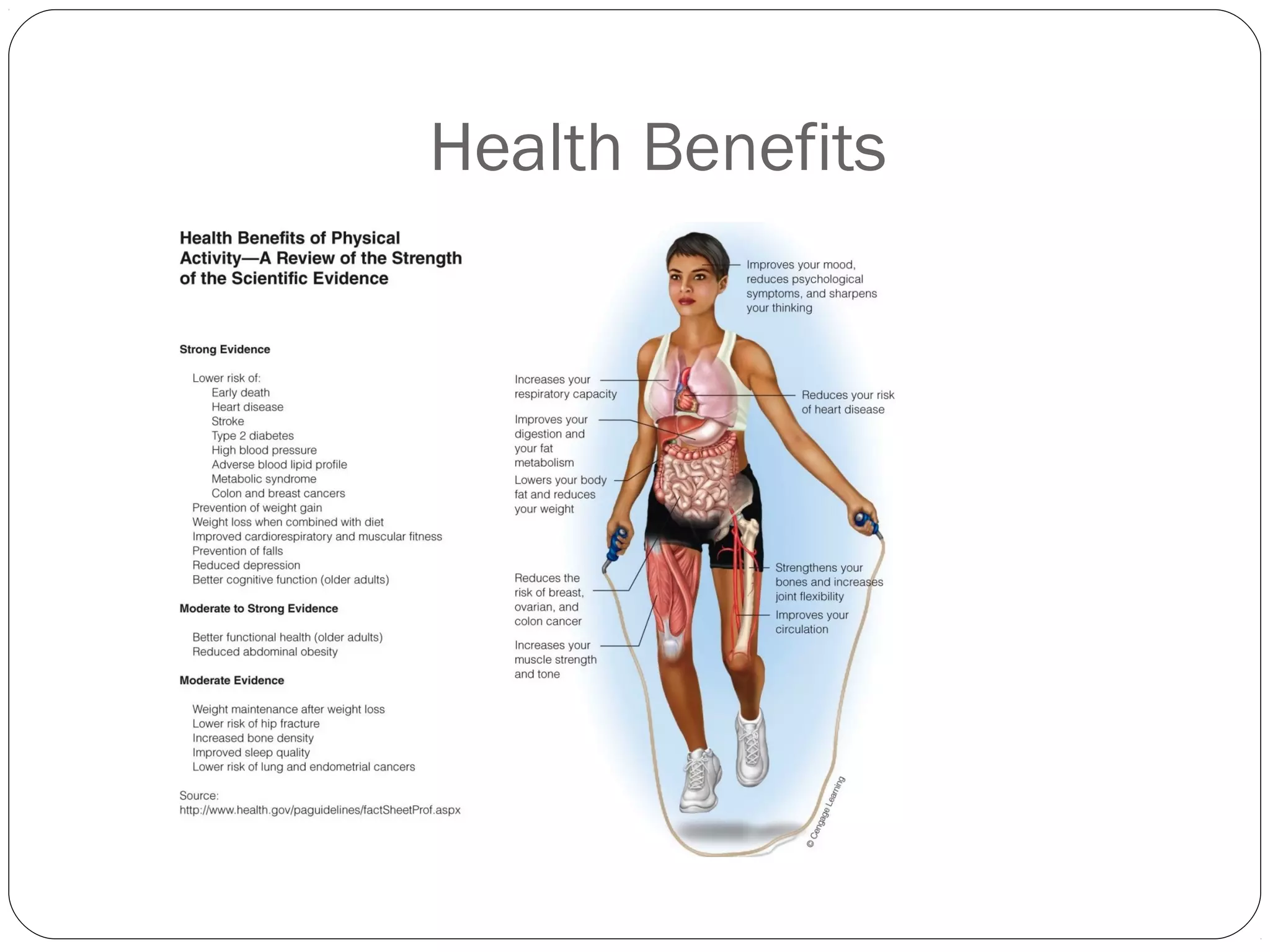 Physical activity, nutrition, and stress management | PPT