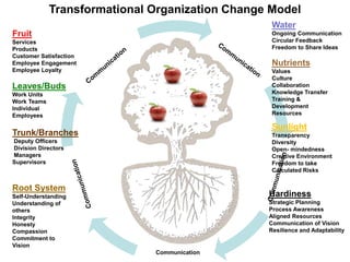 Transformational Organization Change Final Model Final | PPTX