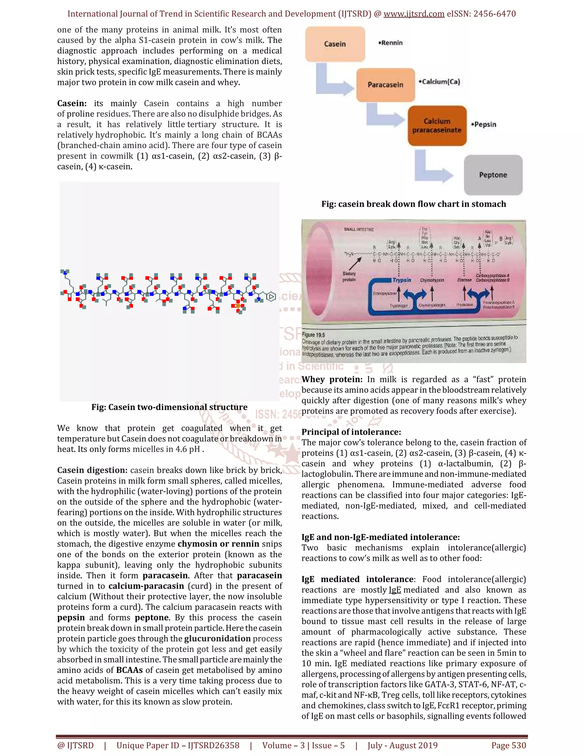 Milk Intolerance and Homoeopathy | PDF