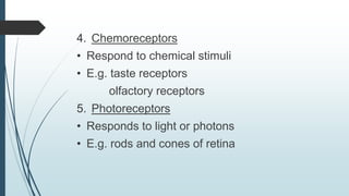 RECEPTORS | PPTX