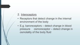 RECEPTORS | PPTX