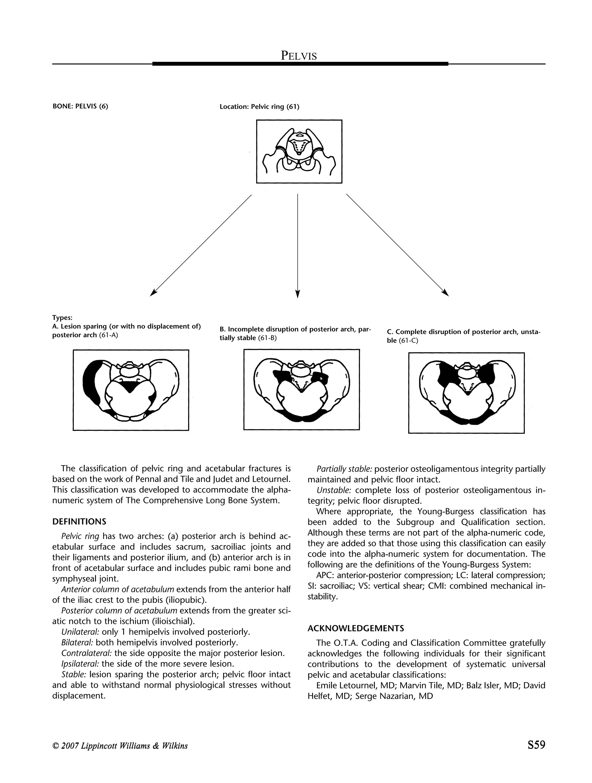 97042.7 pelvis%20s59 s67 | PDF