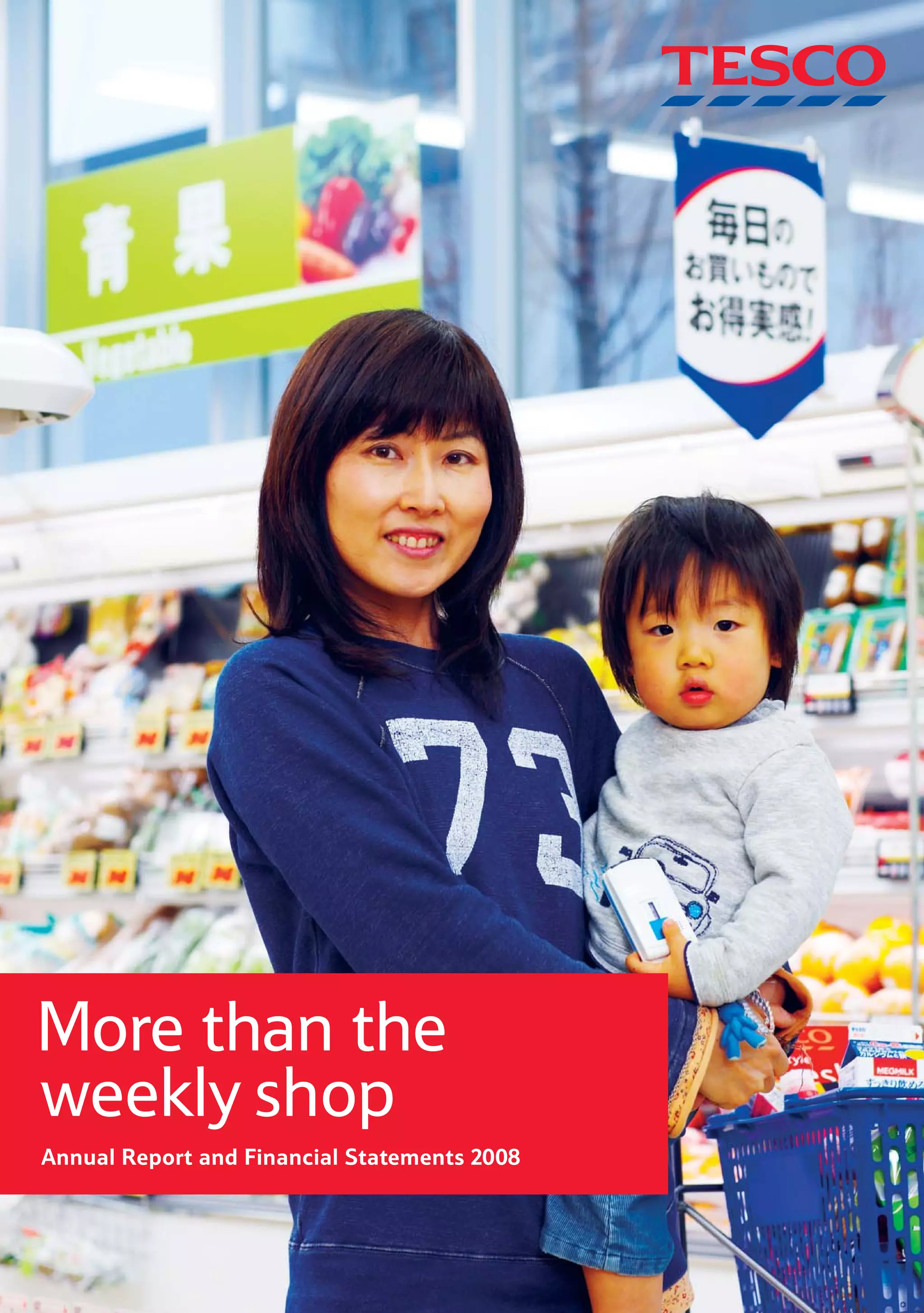 tesco Annual Report and Financial Statements 2008 | PDF