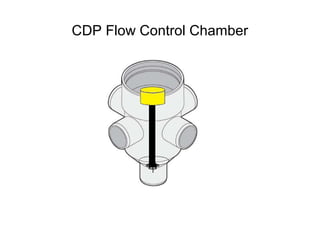 Presentation slides | PPT