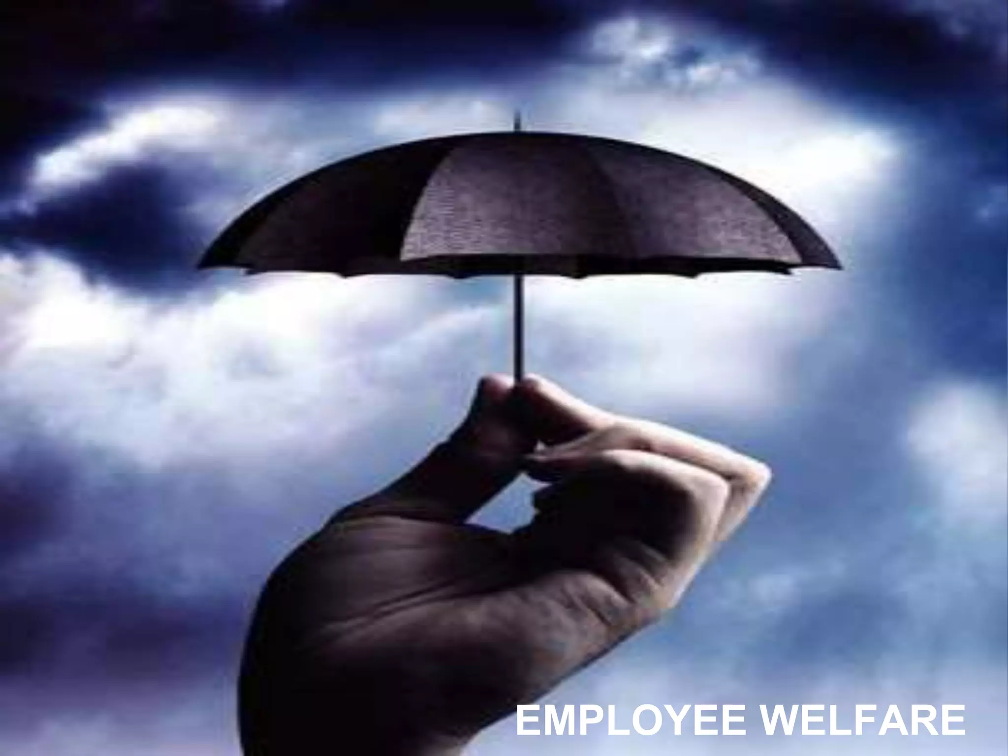 Employee-Welfare.ppt | Government Support and Welfare | Financial ...