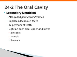 ORAL CAVITY & precautions - Dental Cares | PPT
