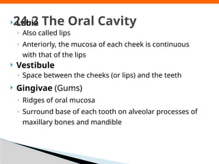 ORAL CAVITY & precautions - Dental Cares | PPT