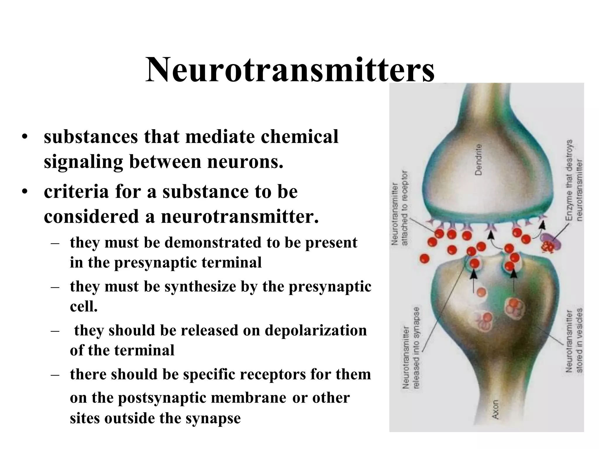 97308319-Neurotransmitter-and-Its-Synapses-Ppt.pdf