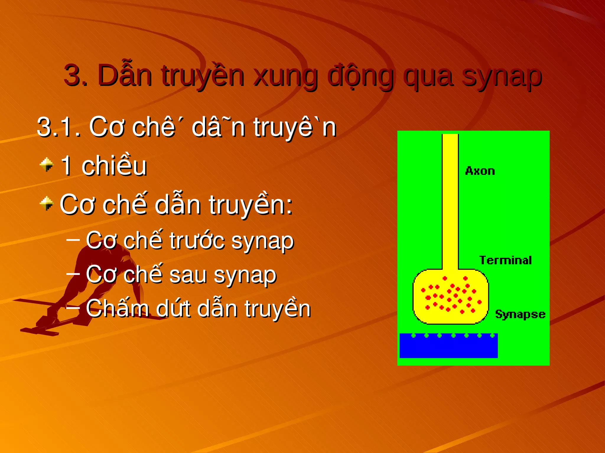Sinh lý thần kinh | PDF
