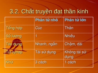 Sinh lý thần kinh | PDF