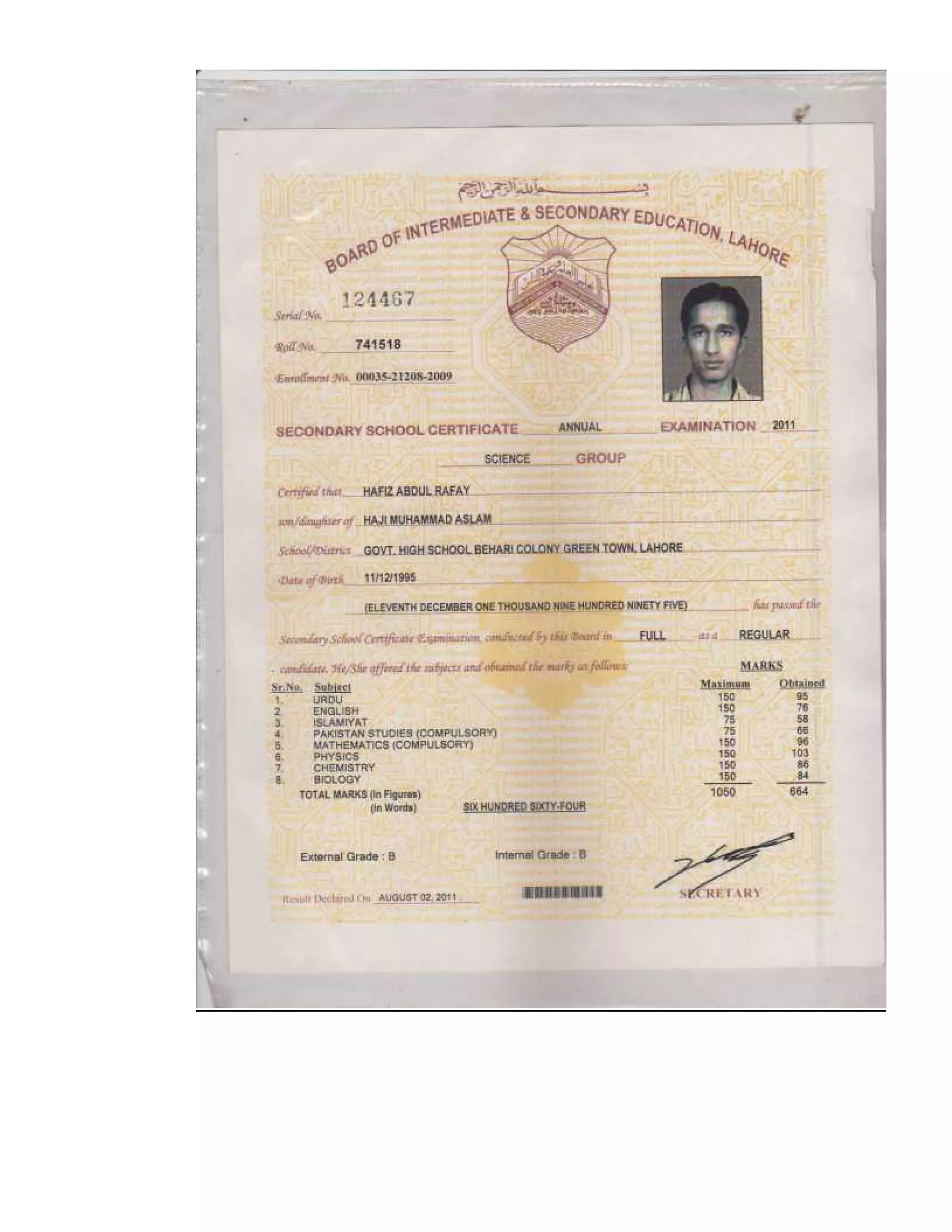 PDF CV Abdul Rafay | PDF