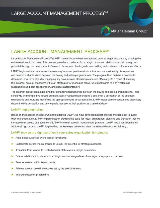 Miller Heiman Group LAMP Process | PDF | Sales | Business