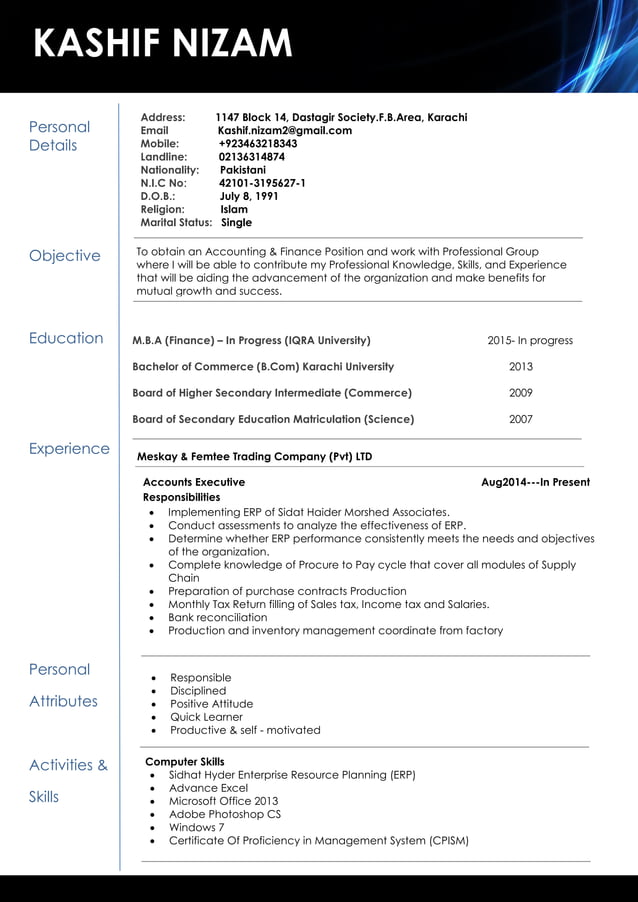 KASHIF NIZAM C.V | PDF