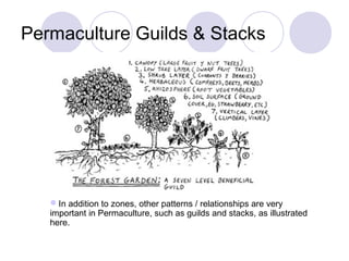 9761254 food-security-home scale-permaculture | PPT