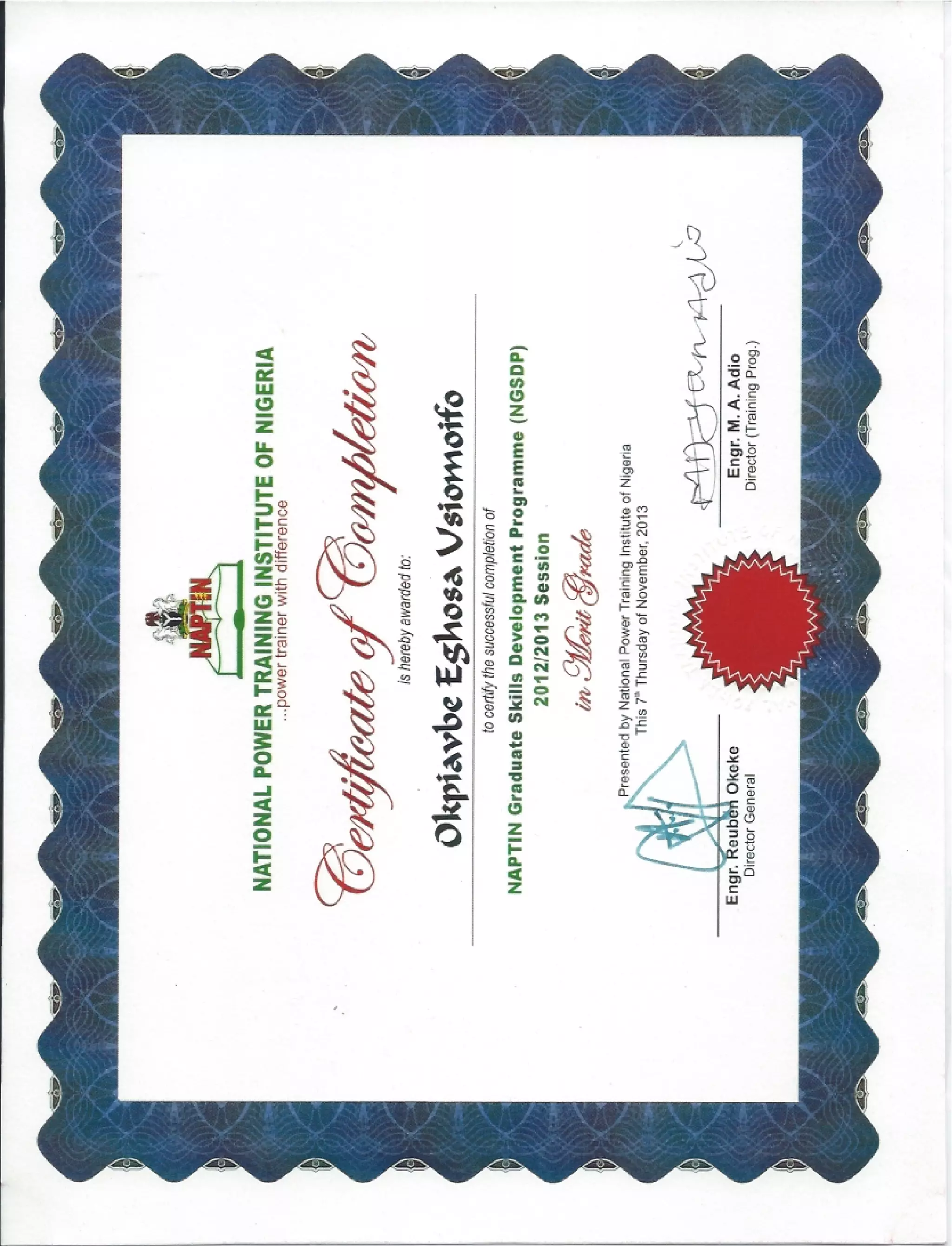 NAPTIN CERTIFICATE | PDF