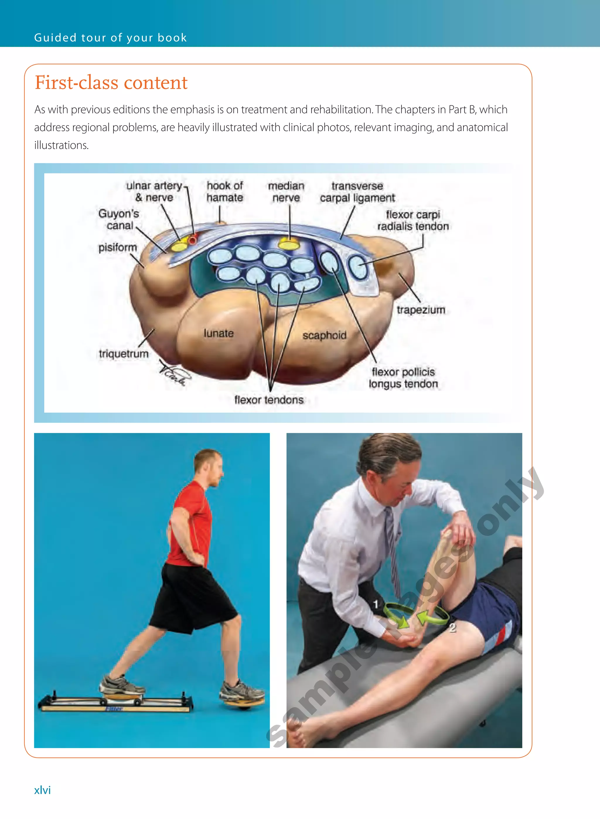 Brukner & Khan's Clinical Sports Medicine | PDF