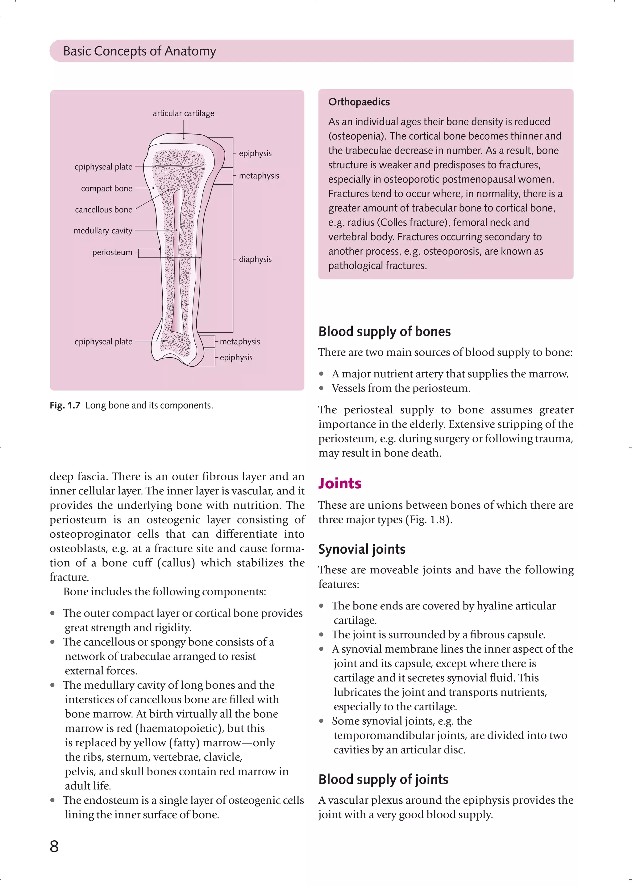 Basic anatomy pdf | PDF
