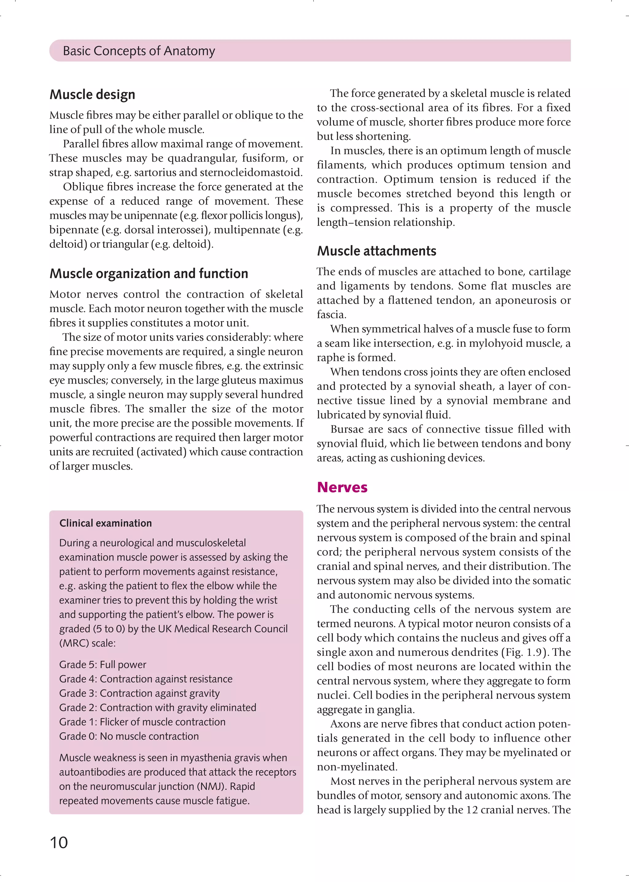 Basic anatomy pdf | PDF