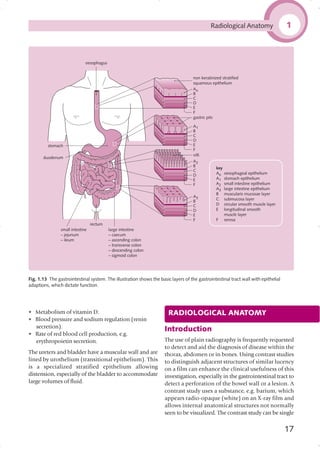 Basic anatomy pdf | PDF | Death, Injury, or Military Conflict ...