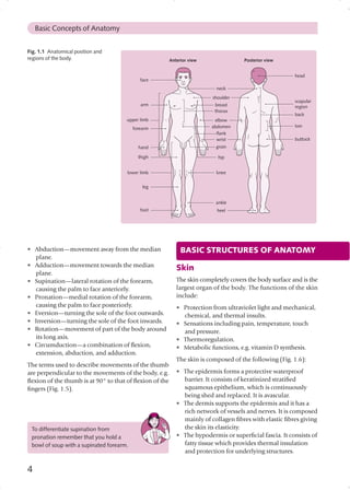 Basic anatomy pdf | PDF