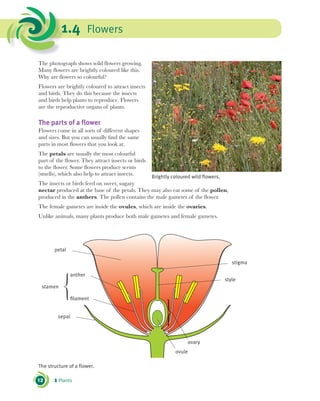 SCIENCE | PDF