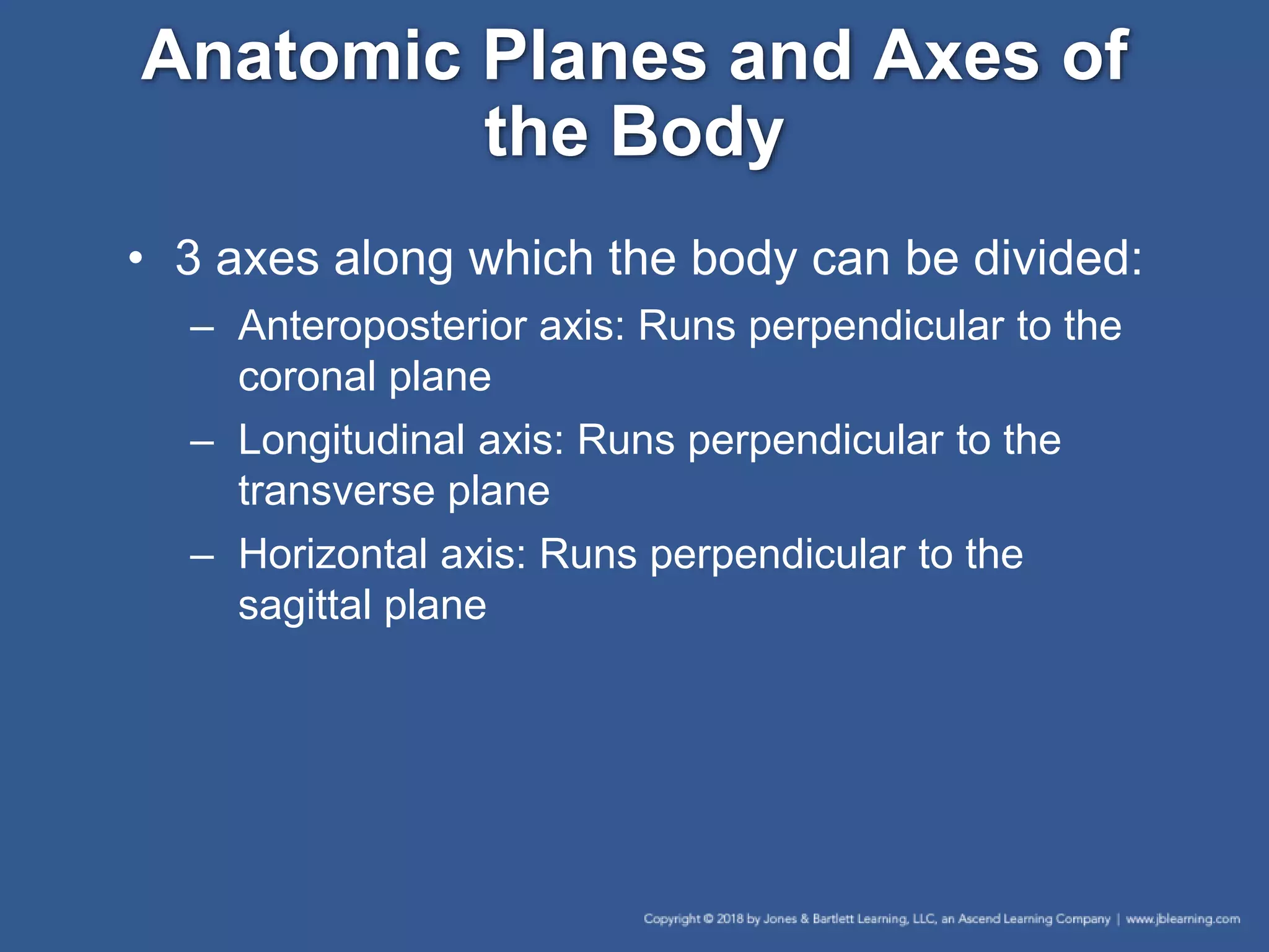 Medical Terminology | PPTX