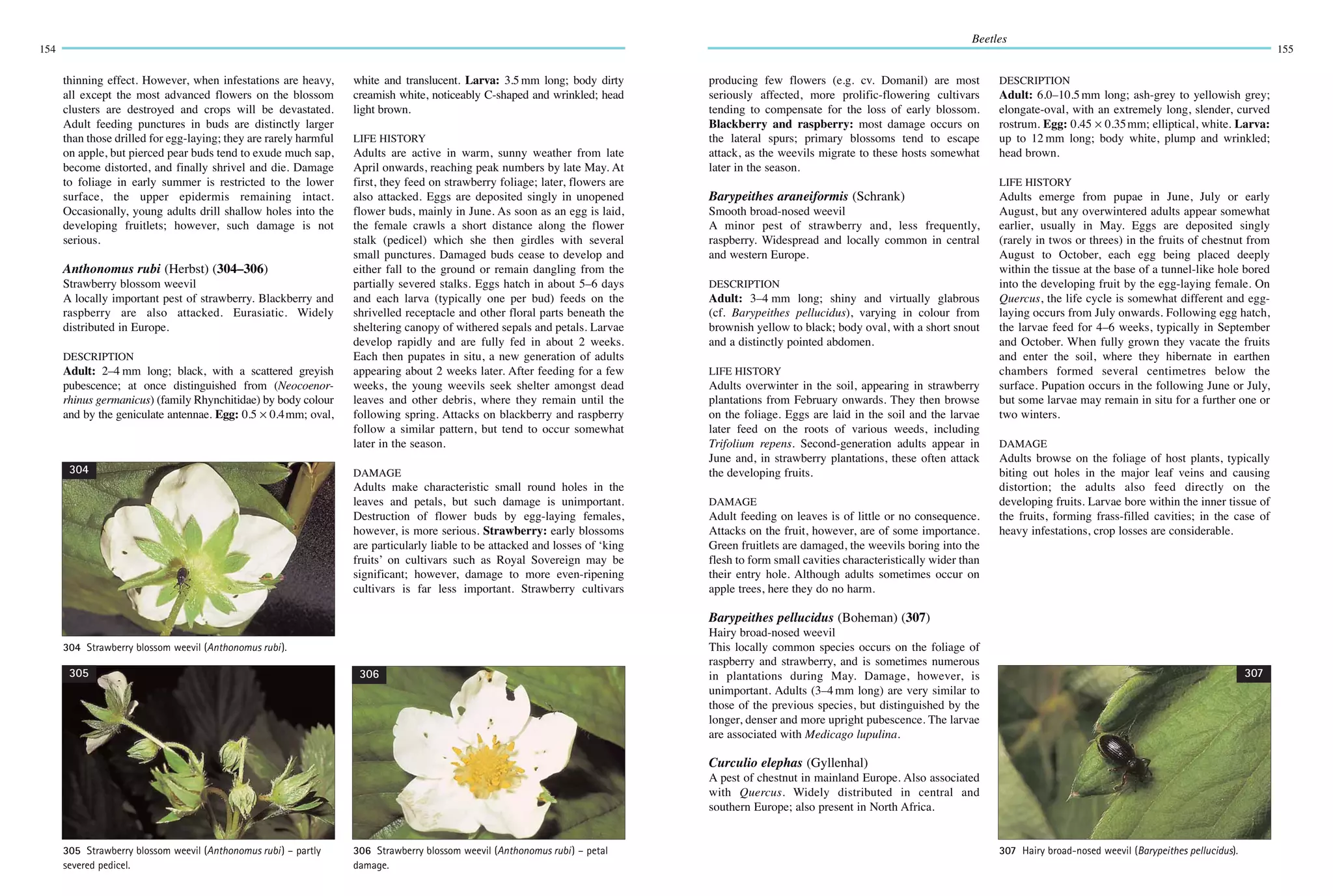 9781840760514 sample | PDF