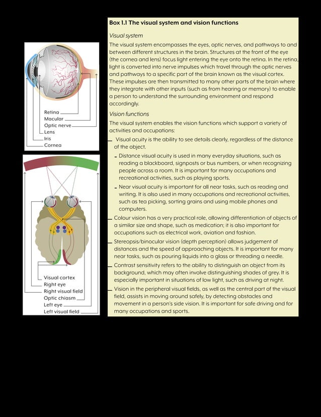 WHO: World report on vision | PDF
