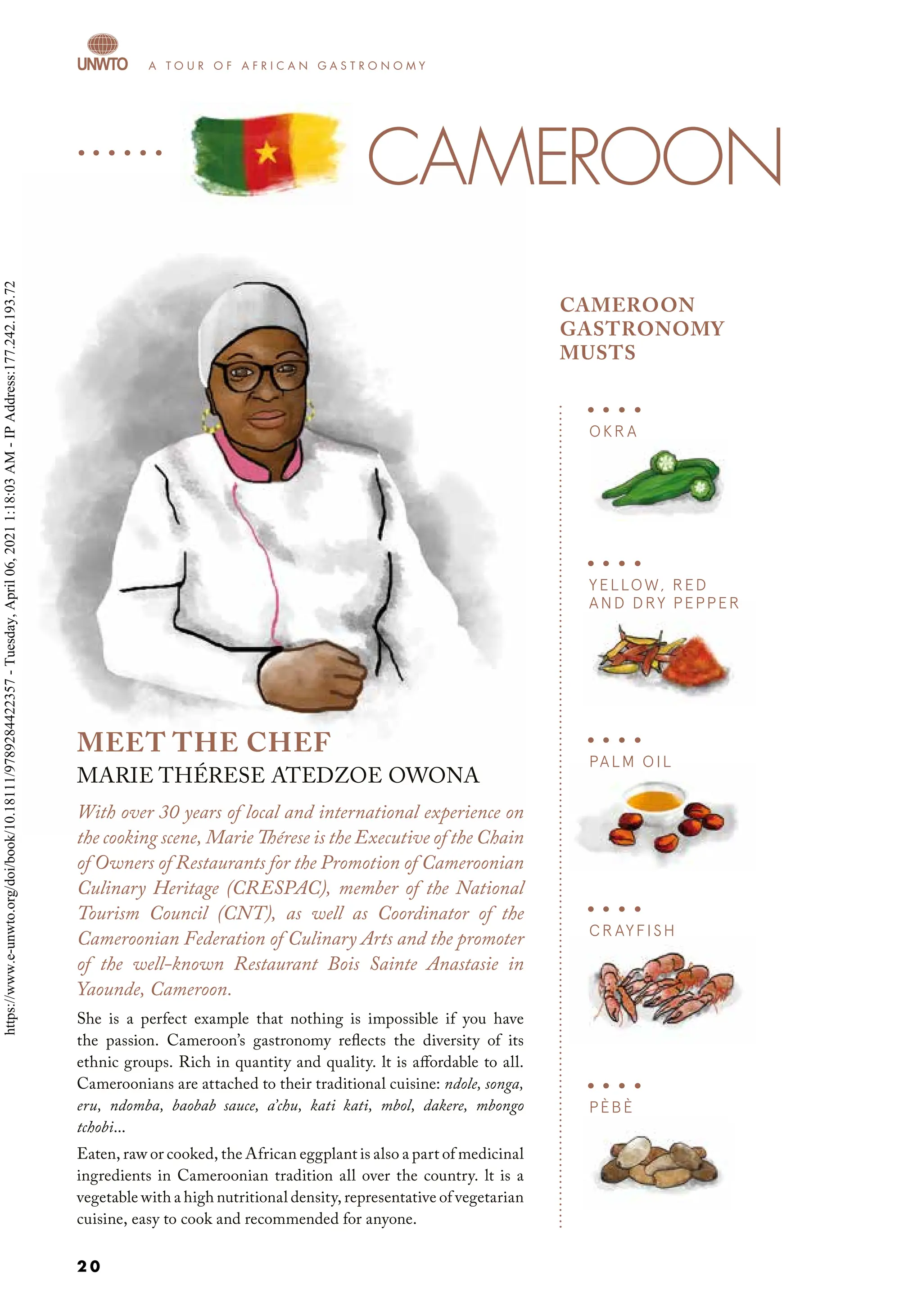 A tour of African gastronomy - World Tourism Organization | PDF