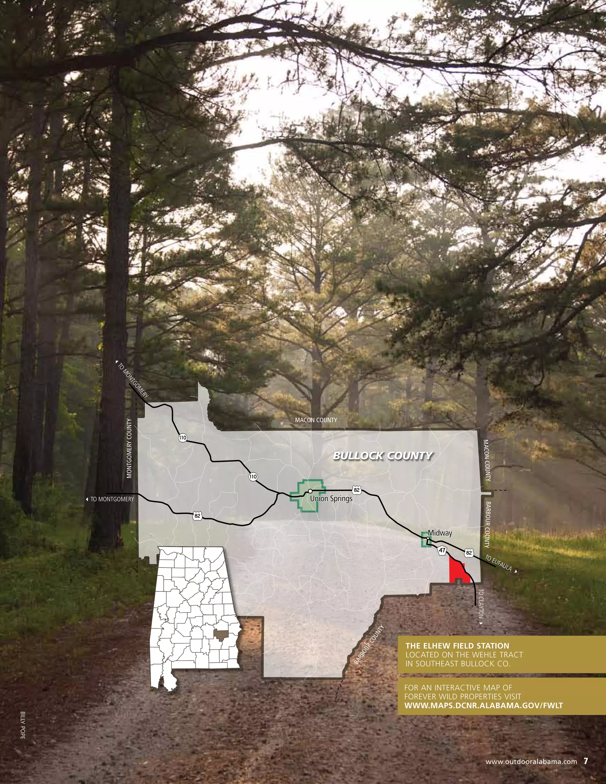 OA_Elhew_Legacy | PDF