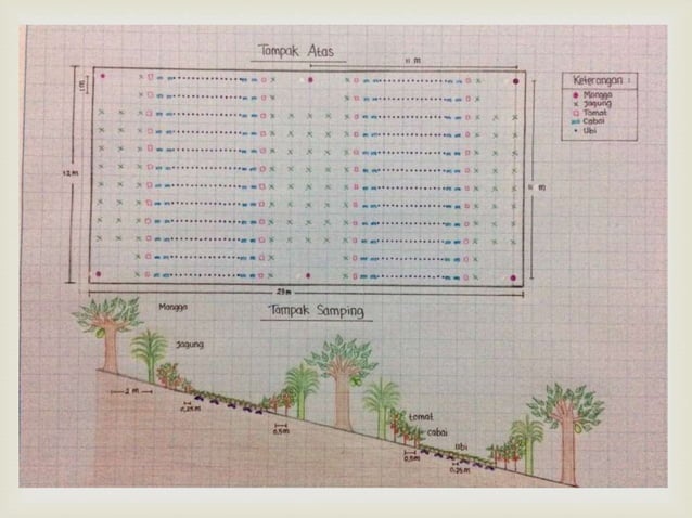 97950 pola tanam tumpangsari | PPTX