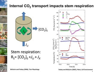 AGU_2016_presentation_book_chapter_xylemCO2_transport | PPT