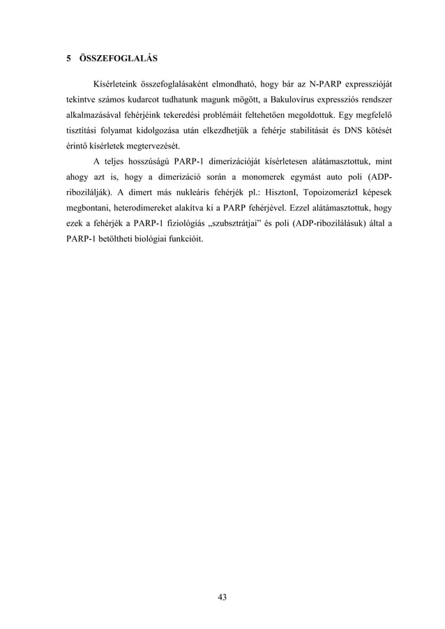 BelleBoglarka_OTDK_dolgozat_2005 | PDF