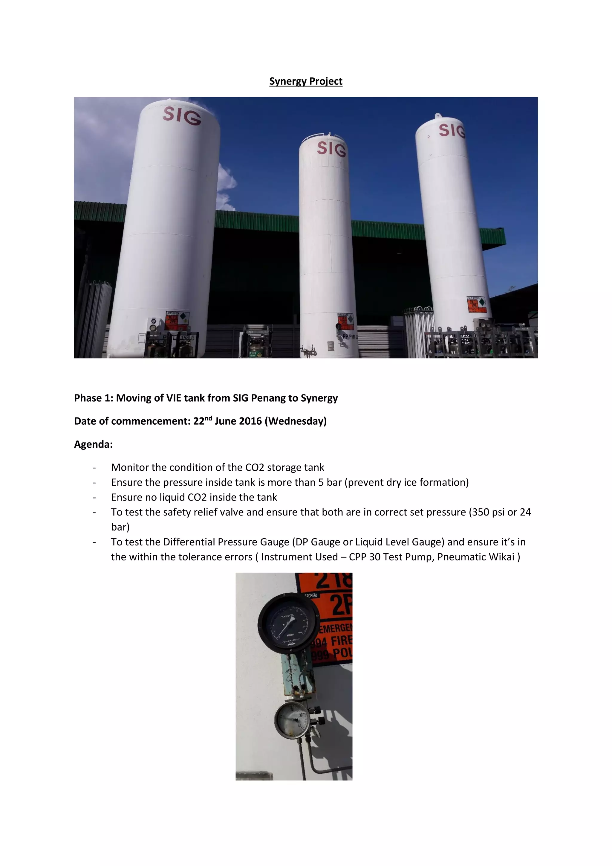 Synergy Project | PPT