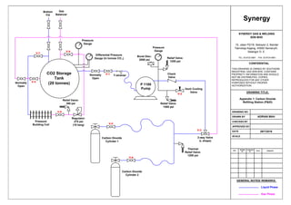 Synergy Project | PPT