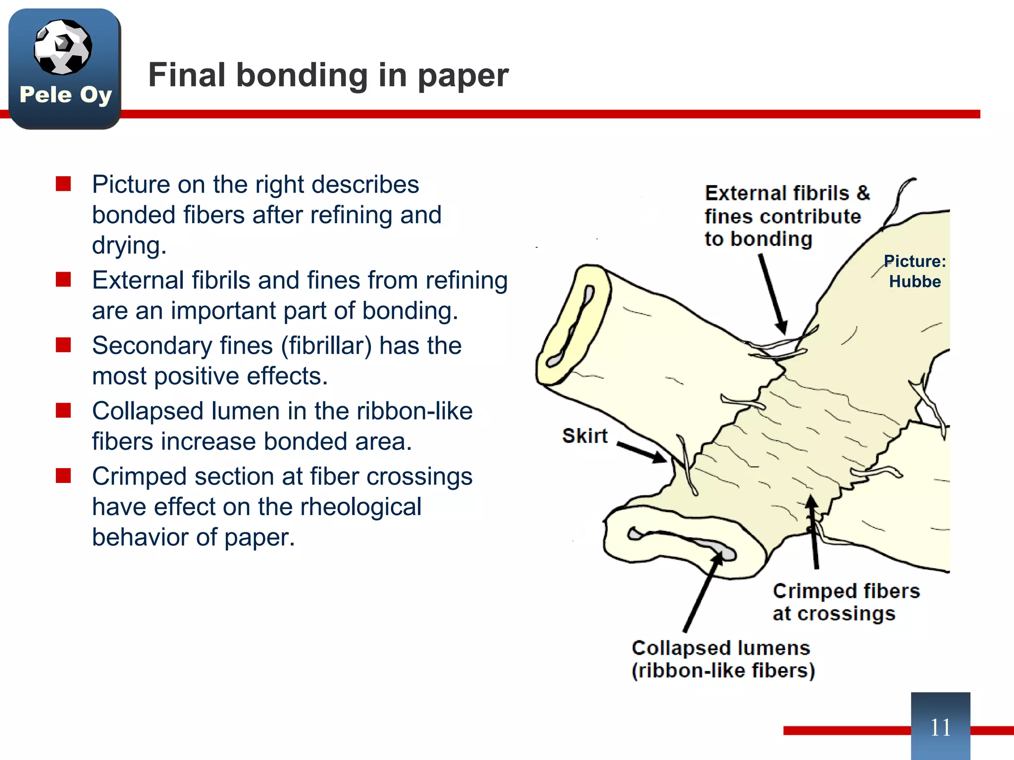 Fiber and Pulp Characteristics for Papermaking | PDF